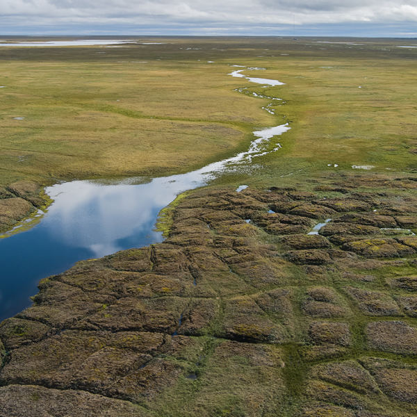 Permitting the North Slope’s first wetlands mitigation bank | UIC Alaska